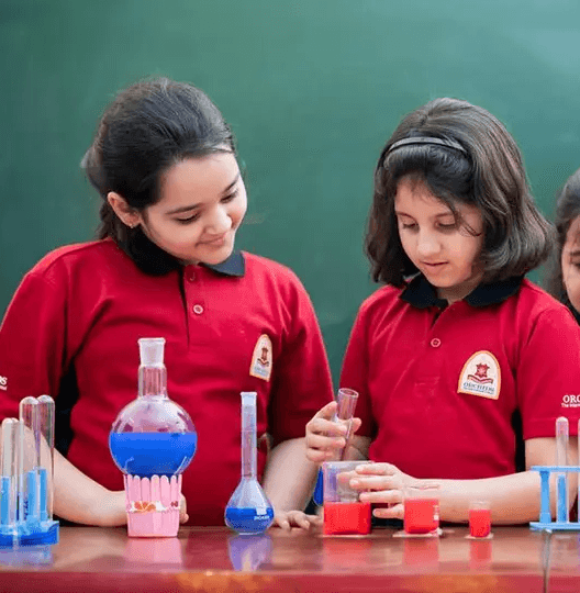 Orchids The International School